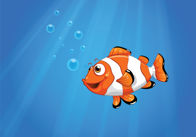 Nemo! | Evidence Explained