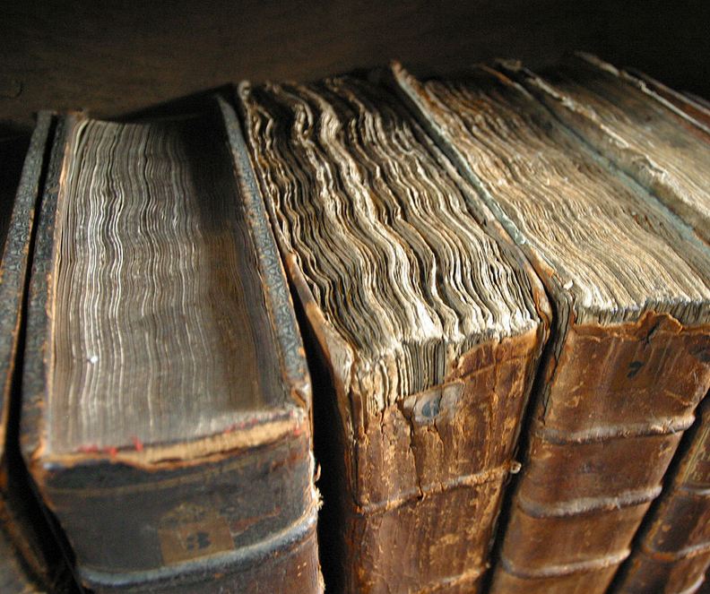 A Church Book Is a Church Book Is a Church Book | Evidence Explained